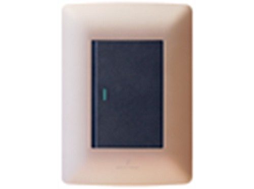 1 Lever Switch Rose Gold/Black 2×4 (Hello Today) - Outlight Electrical