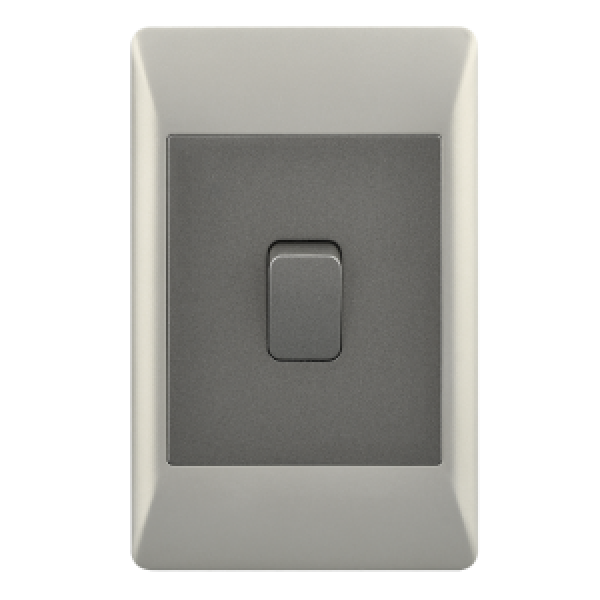 Brightstar 2×4 1 Lever 1 Way Switch Charcoal & Champagne ESW071 DUO ...